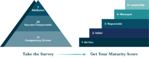 Risk Maturity Assessment Explained | Risk Maturity Model